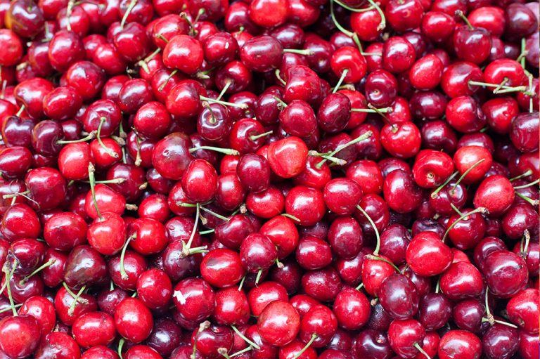 Import fruits from Spain - Mayorazgo Export