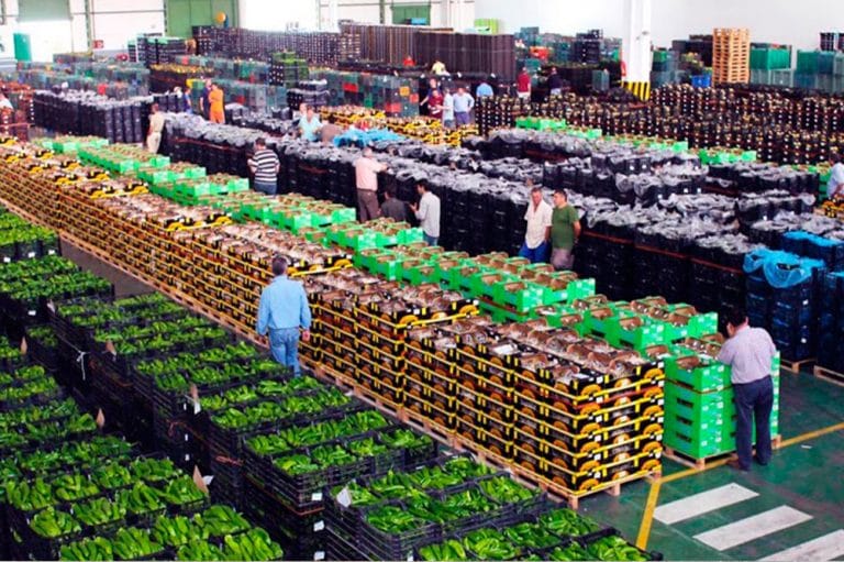 Import organic products from Spain - Mayorazgo Export